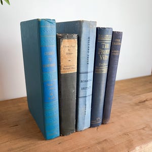 Vintage Blue Books, Antique Book Set- Timeless Classics, Rare ...