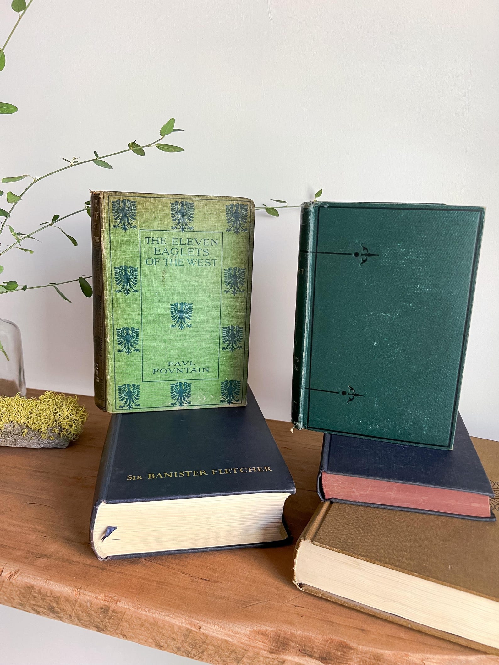 Vintage Book Collection, Antique Book Set- Timeless Classics, Rare ...