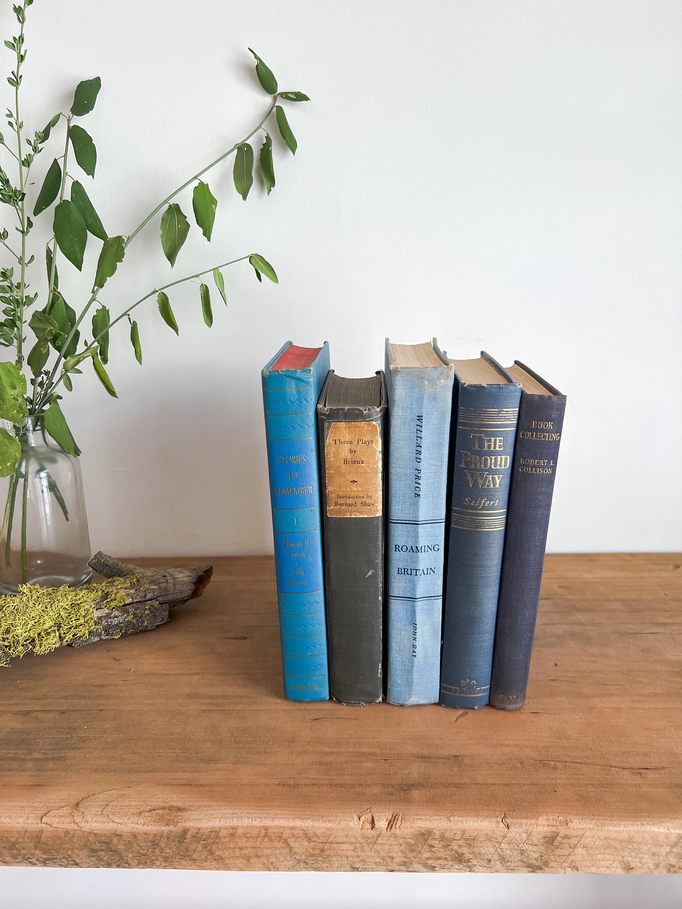 Vintage Blue Books, Antique Book Set- Timeless Classics, Rare ...