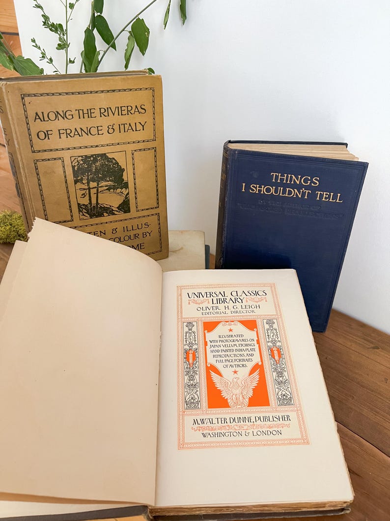 Vintage Book Collection, Antique Book Set Timeless Classics, Rare ...