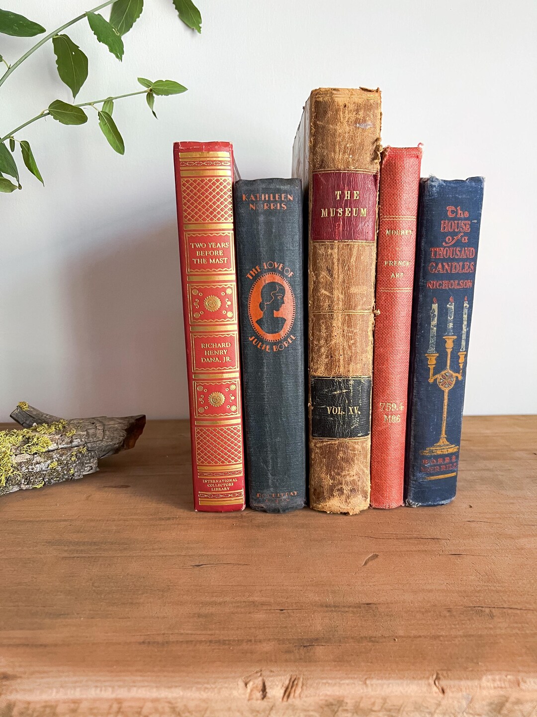 Vintage Blue and Red Book Collection, Antique Book Set- Timeless ...