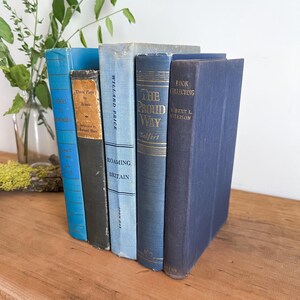 Vintage Blue Books, Antique Book Set- Timeless Classics, Rare ...