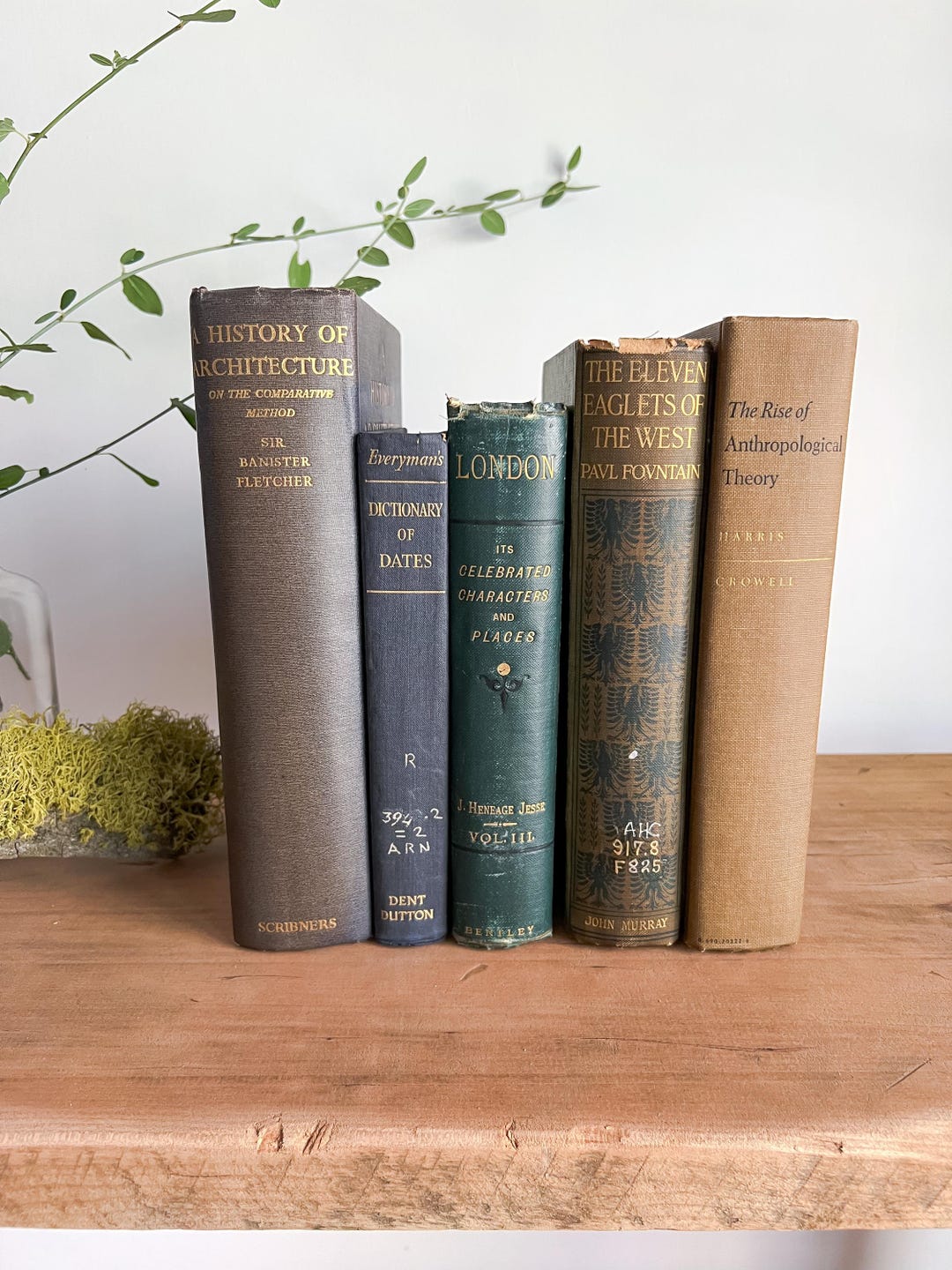 Vintage Book Collection, Antique Book Set- Timeless Classics, Rare ...