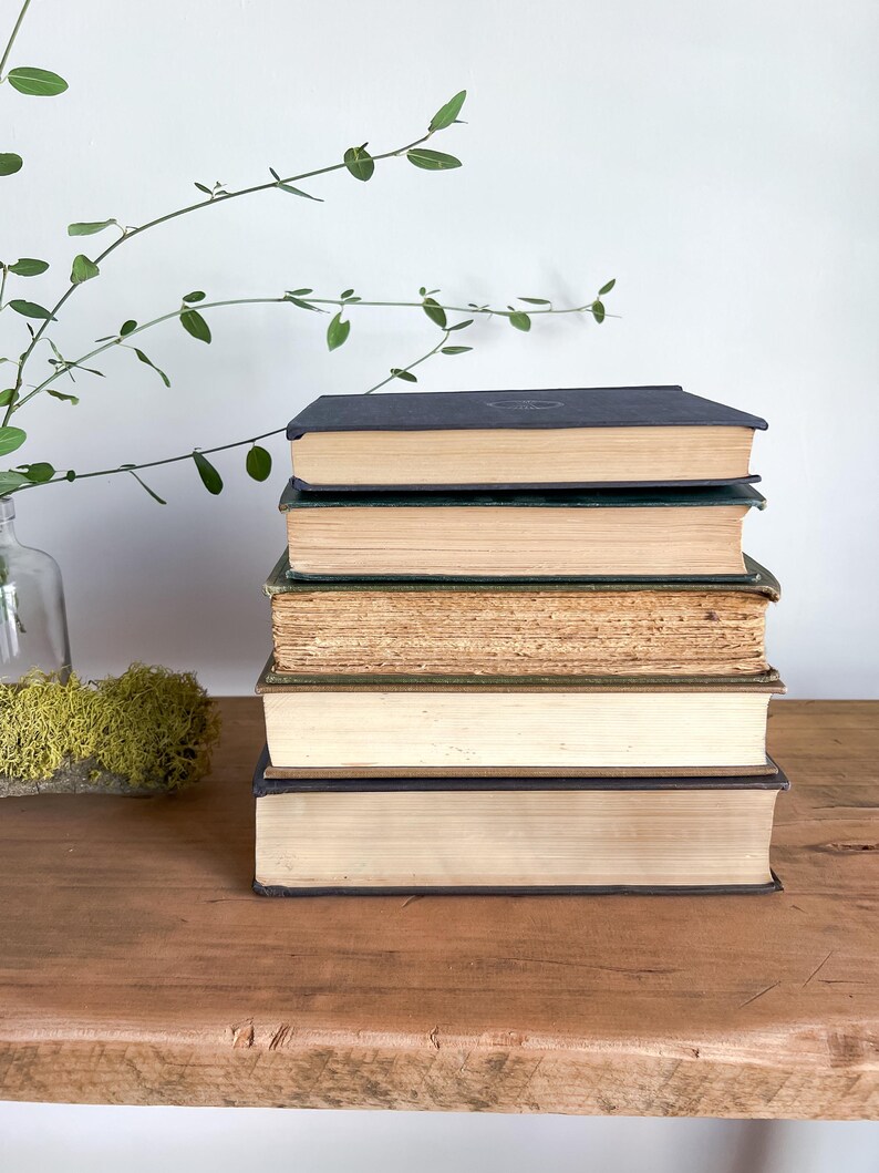 Vintage Book Collection, Antique Book Set- Timeless Classics, Rare ...