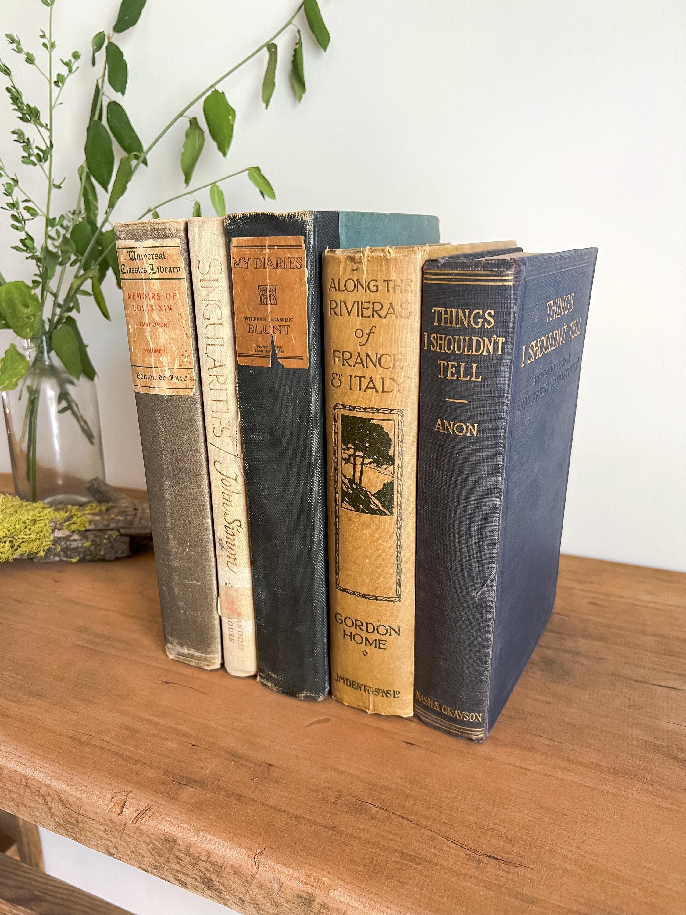 Vintage Book Collection, Antique Book Set Timeless Classics, Rare ...