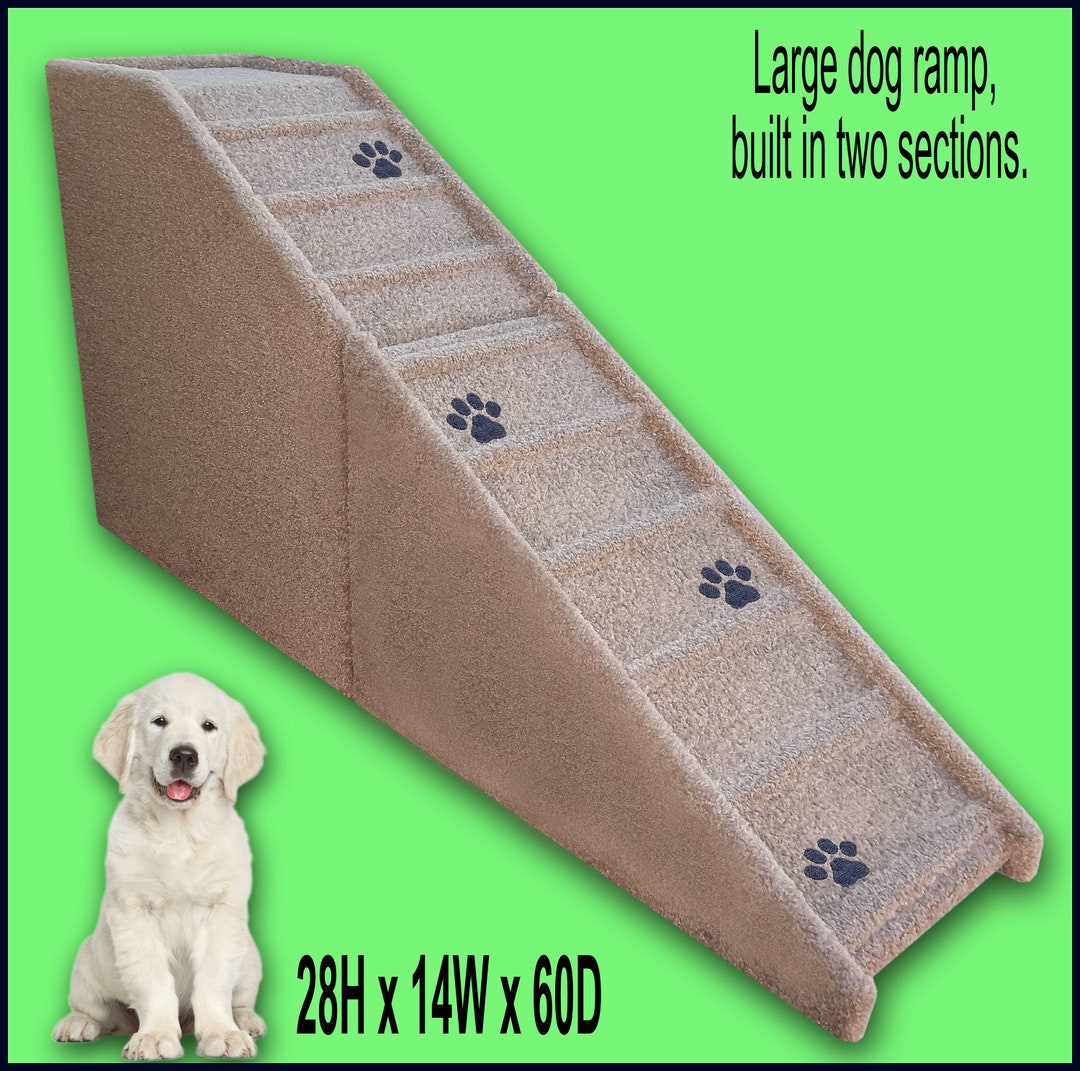 Big Dog Ramp 28
