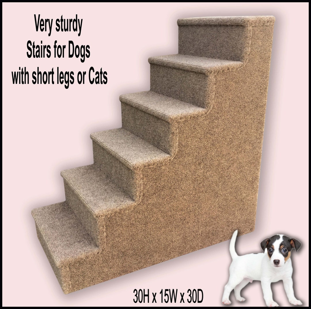 Pet Steps for Small Dogs or Cats, Dog Steps Beige Color, Small to ...