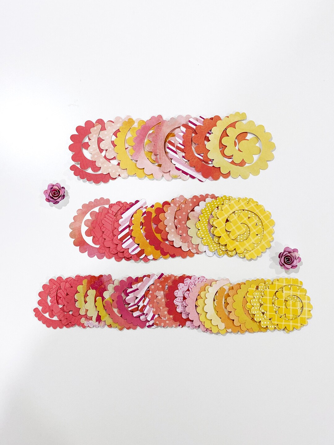 DIY Rolled Flowers Kit for Card Making, Scrapbooks, Crafts and More ...