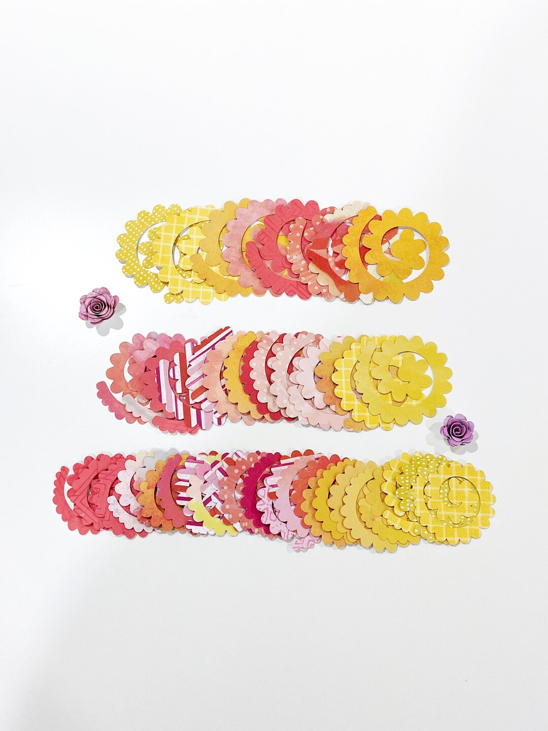 DIY Rolled Flowers Kit for Card Making, Scrapbooks, Crafts and More ...