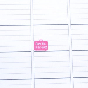 Aunt Flo Stickers for Planner, Calendar Functional Planner Stickers ...