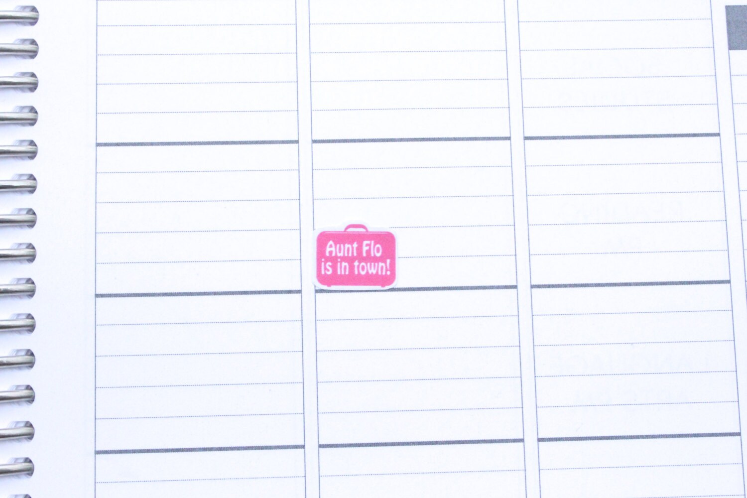 Aunt Flo Stickers for Planner Calendar Functional Planner - Etsy