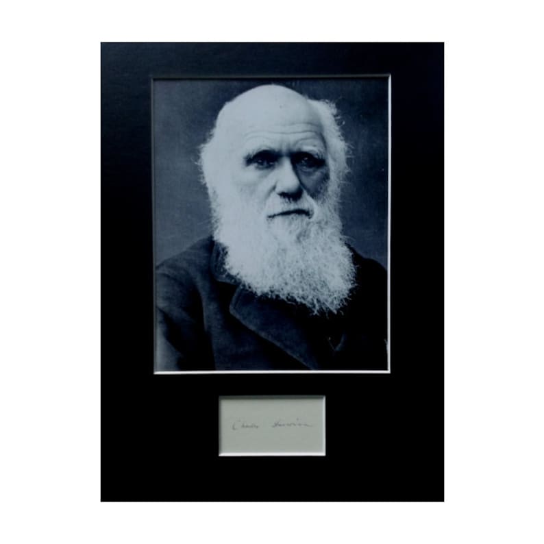 Charles Darwin AUTOGRAPH Photo Display Biology Theory of Evolution - Etsy