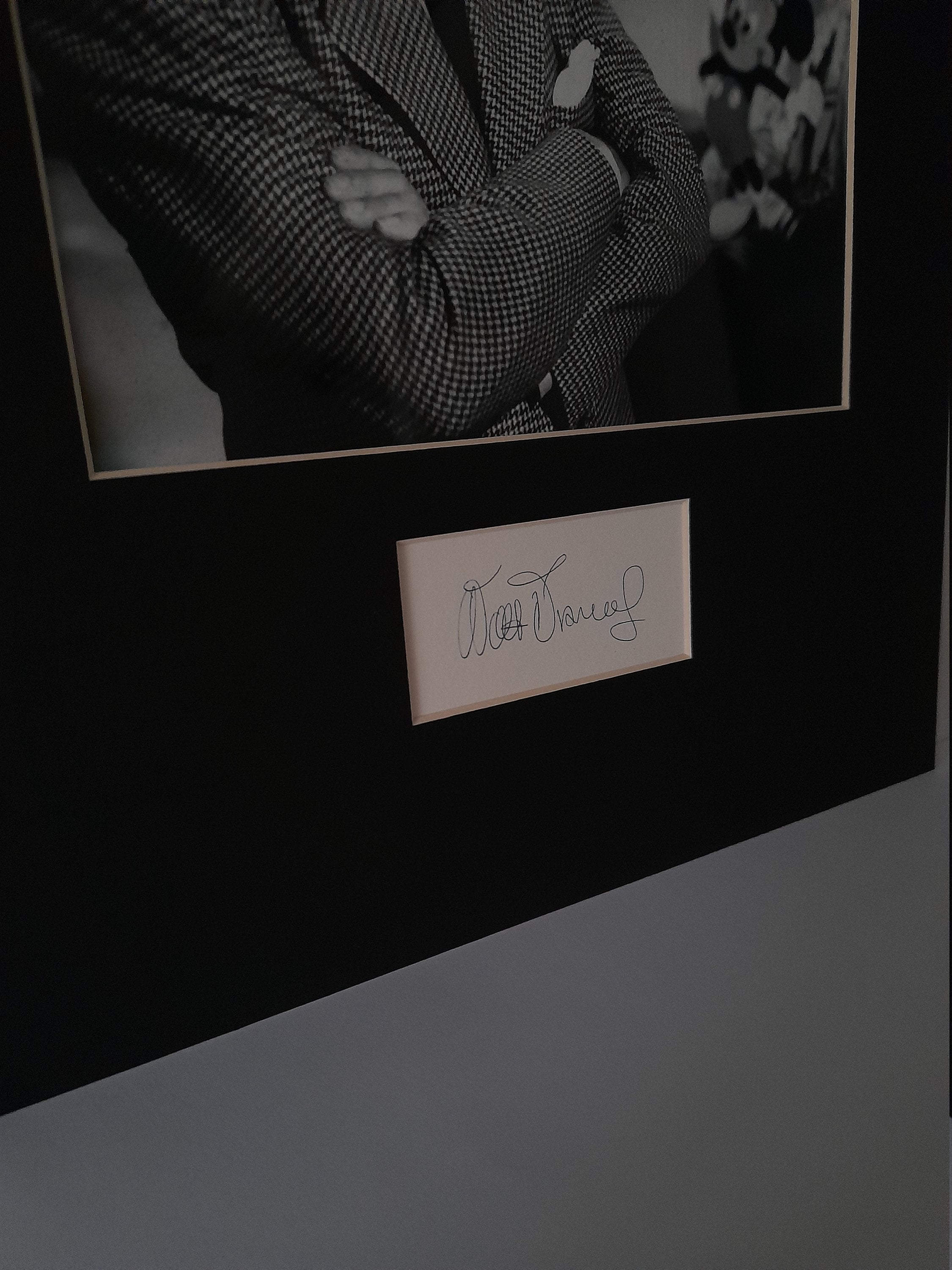 WALT DISNEY AUTOGRAPH Photo Display Mickey Mouse - Etsy
