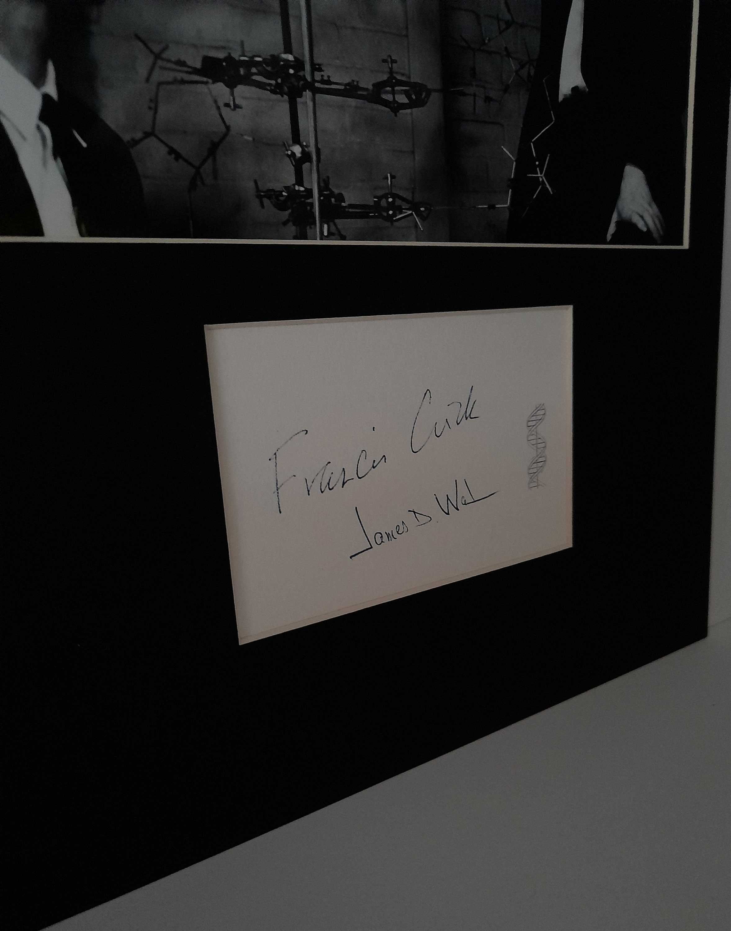 Francis Crick James D Watson AUTOGRAPH Photo Display DNA Scientists ...