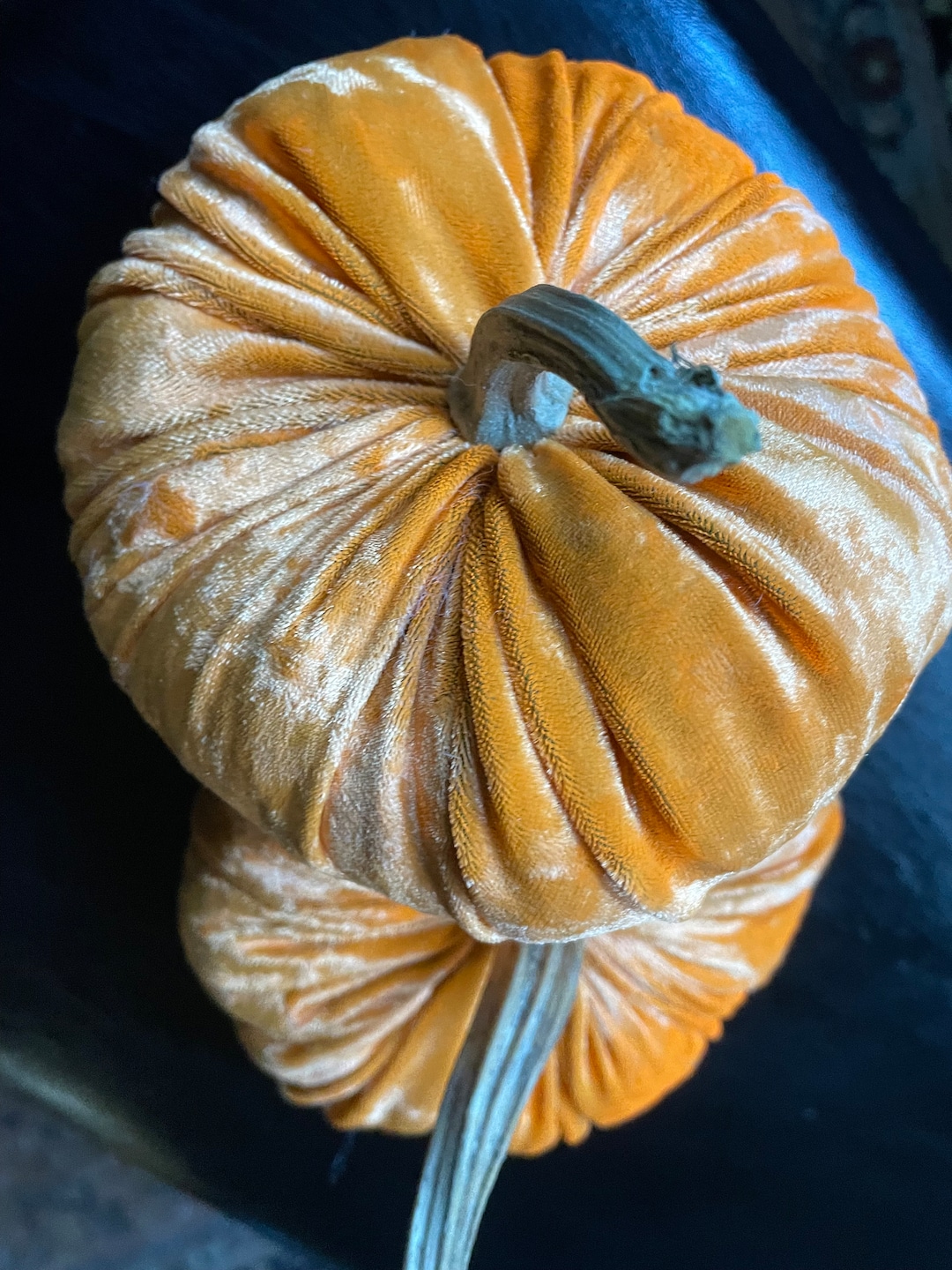 Orange Velvet Pumpkins With Real Stems - Etsy