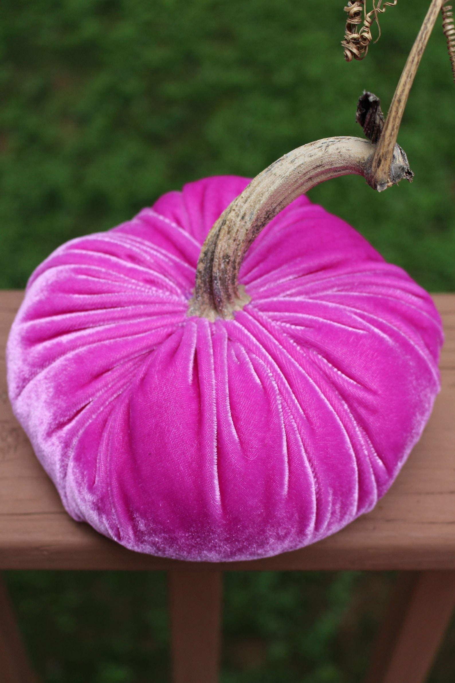 Pink Velvet Pumpkins With Real Stems - Halloween, Weddings, Table ...