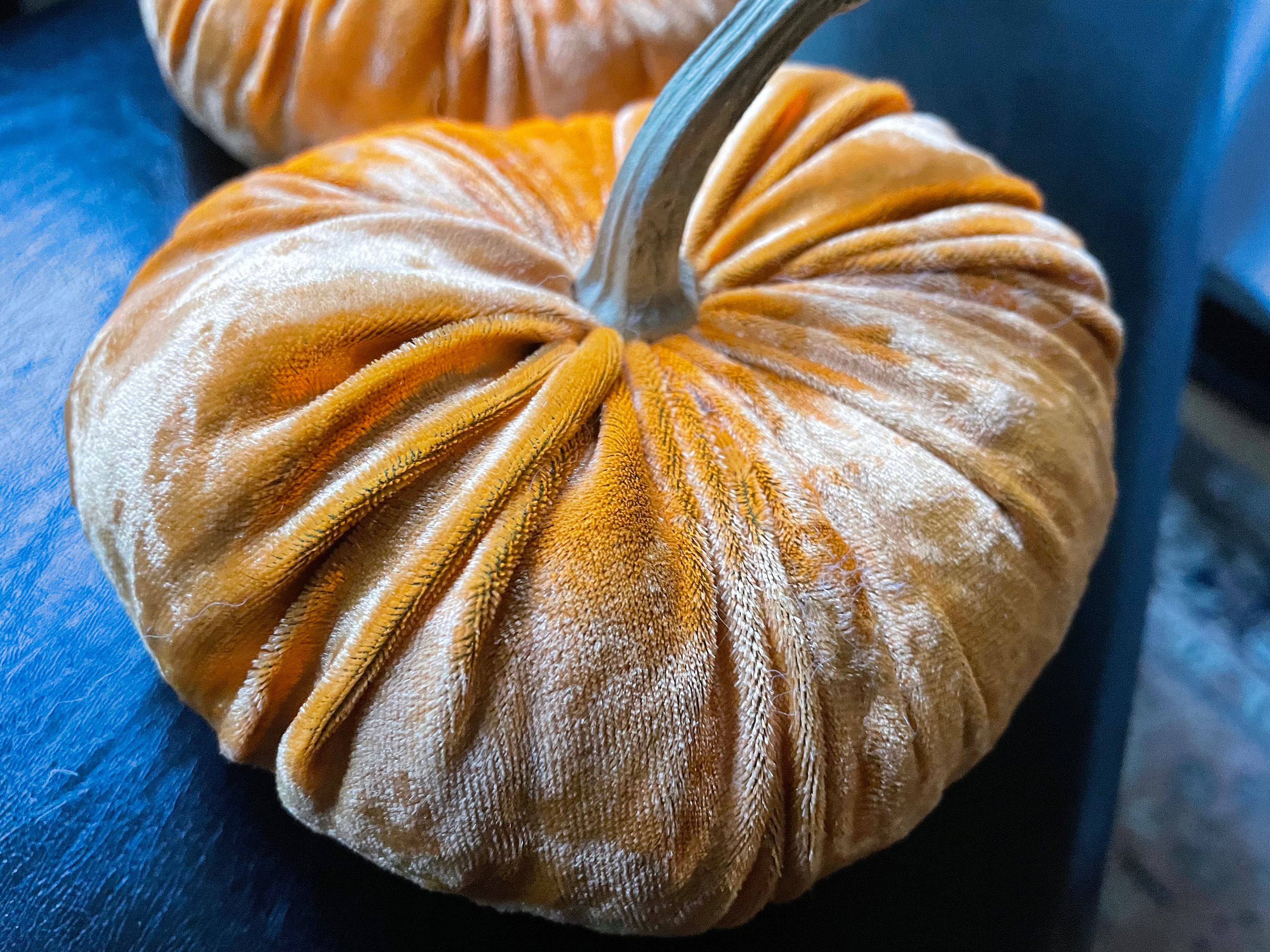 Orange Velvet Pumpkins With Real Stems - Etsy