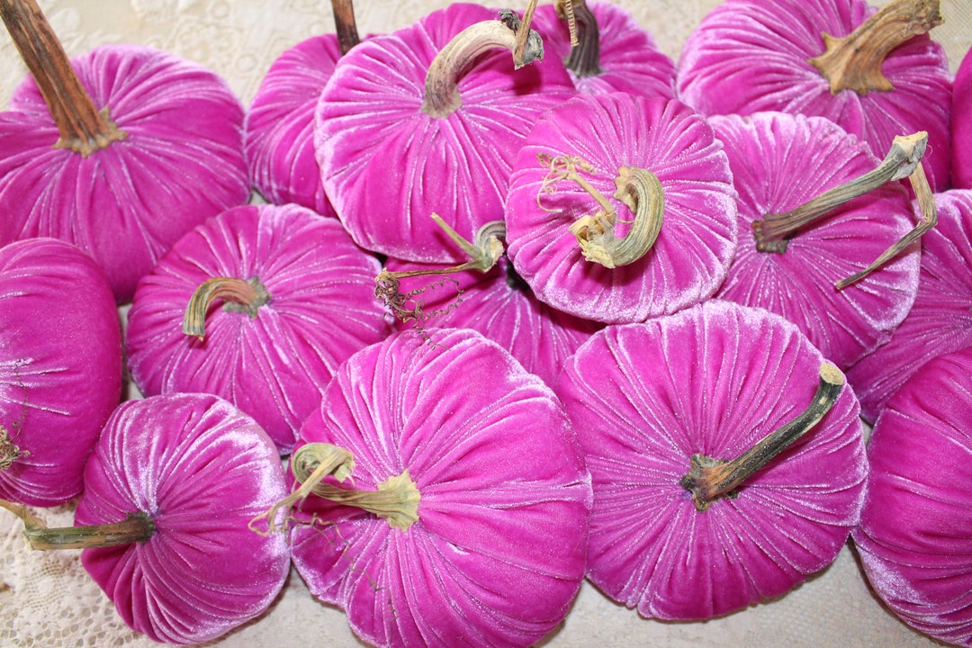 Pink Velvet Pumpkins With Real Stems - Halloween, Weddings, Table ...