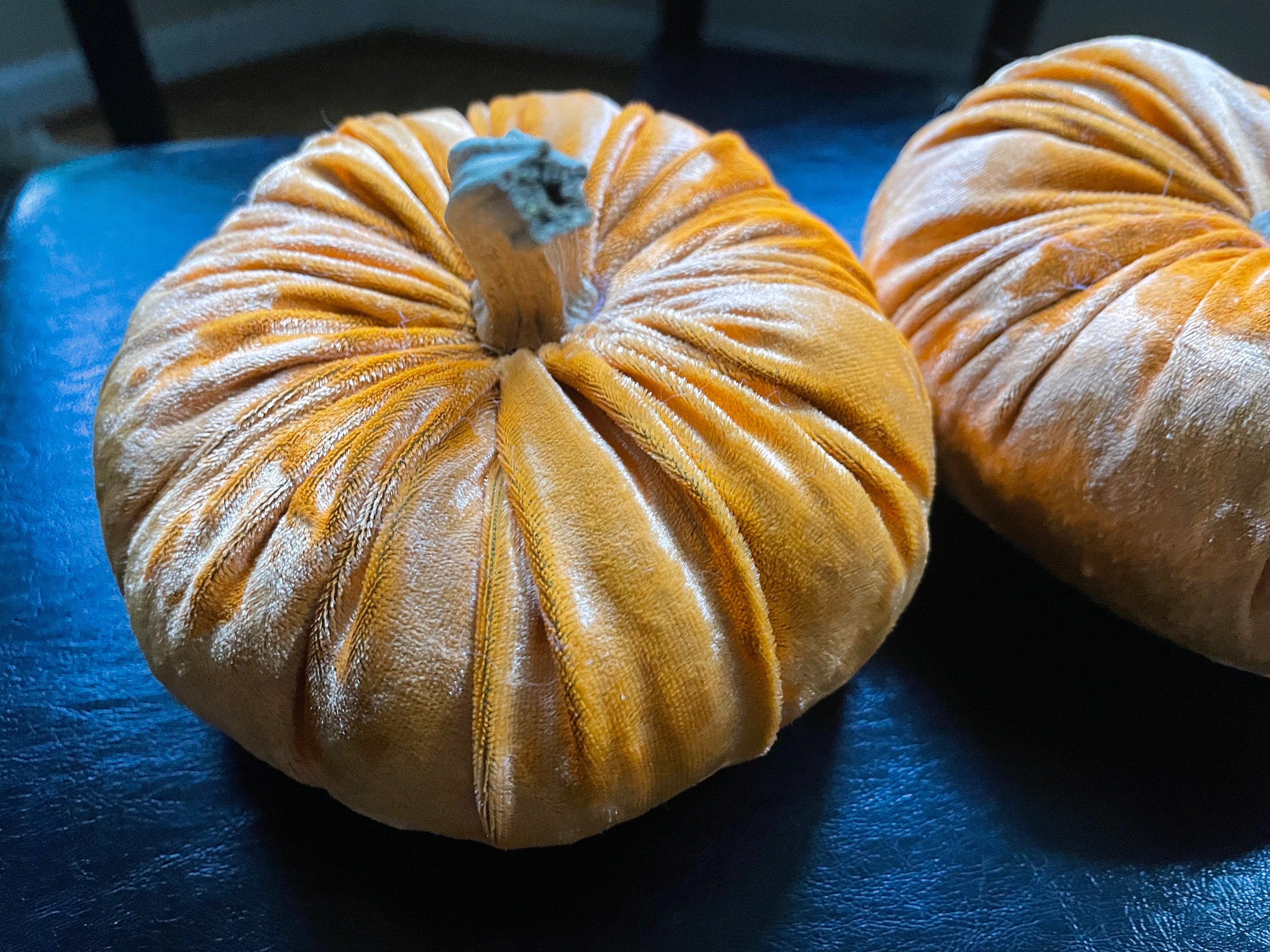Orange Velvet Pumpkins With Real Stems - Etsy