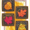 Andromeda Foundation Paper Piecing Quilt Pattern by Judy Niemeyernew ...