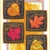 Andromeda Foundation Paper Piecing Quilt Pattern by Judy Niemeyernew ...
