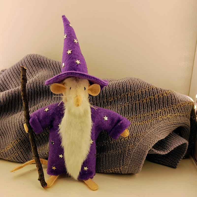 Inside the Rise of Home Libraries as Luxury Status Symbols - Etsy Canada