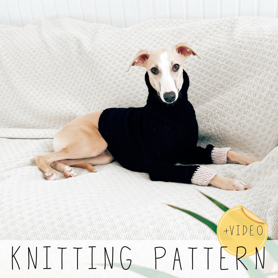 Dog Winter Sweater KNITTING PATTERN Medium Dog Jumper Knit Pattern ...