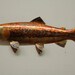 24'' Copper Rainbow Trout , Hand-formed With Tools Then Painted With ...