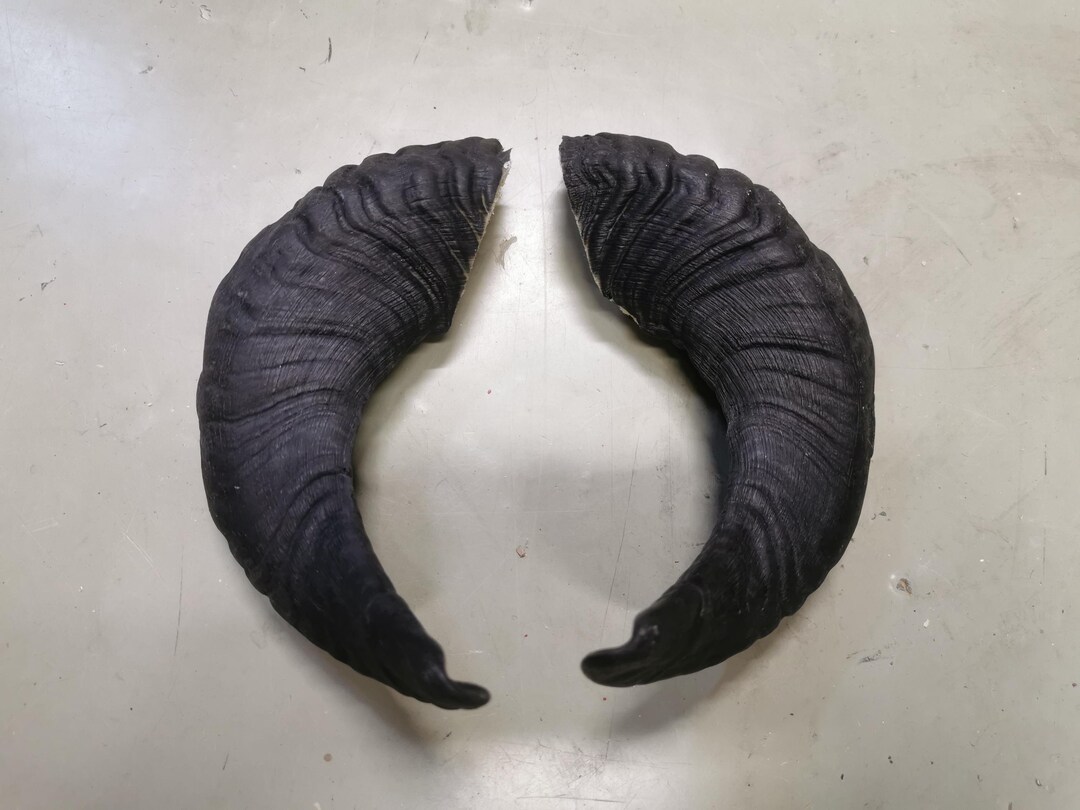 READY TO SHIP Mini Sheep Replica Horns - Etsy