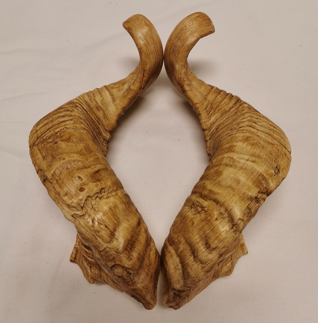 Replica Small Twisted Sheep Horns - Etsy