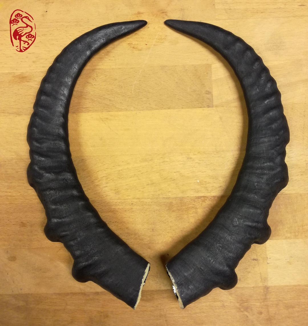 Replica Small Ibex Horns - Etsy