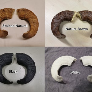Replica Small Sheep Ram Horn - Etsy
