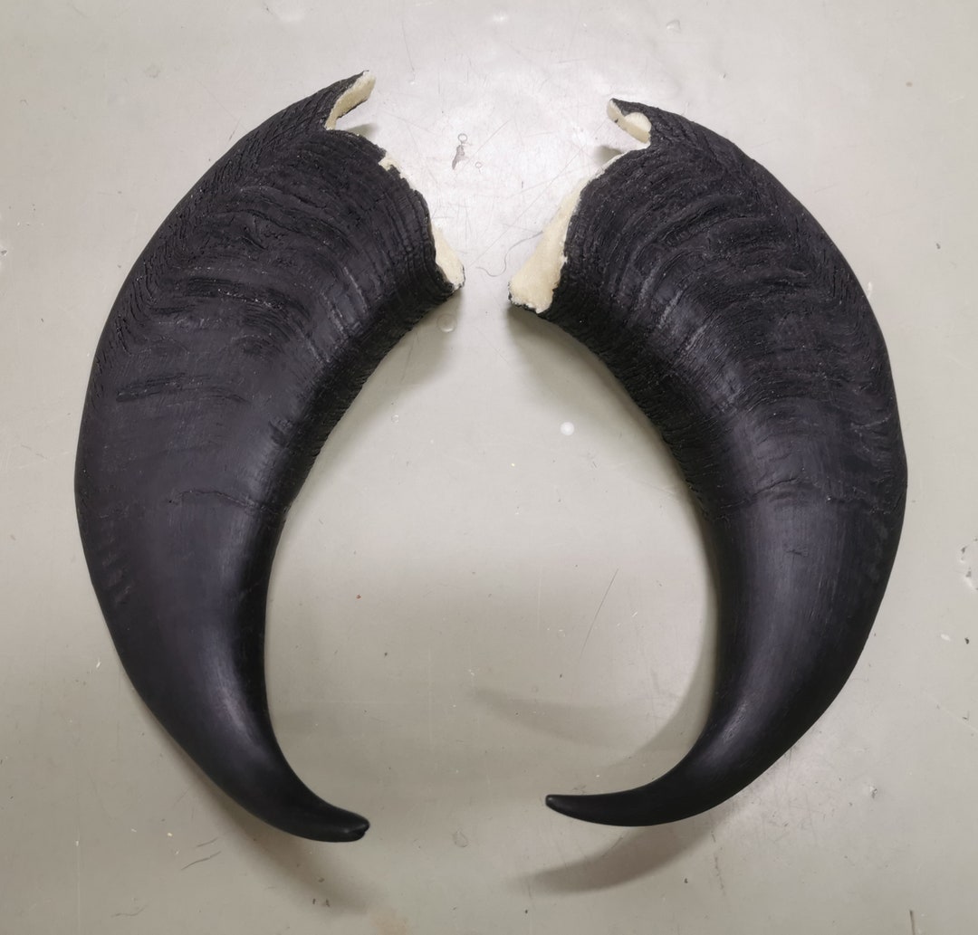Himalayan Tahr Replica Horns - Etsy