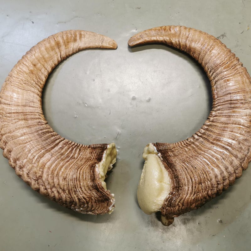 BlackCraneCreations - Etsy