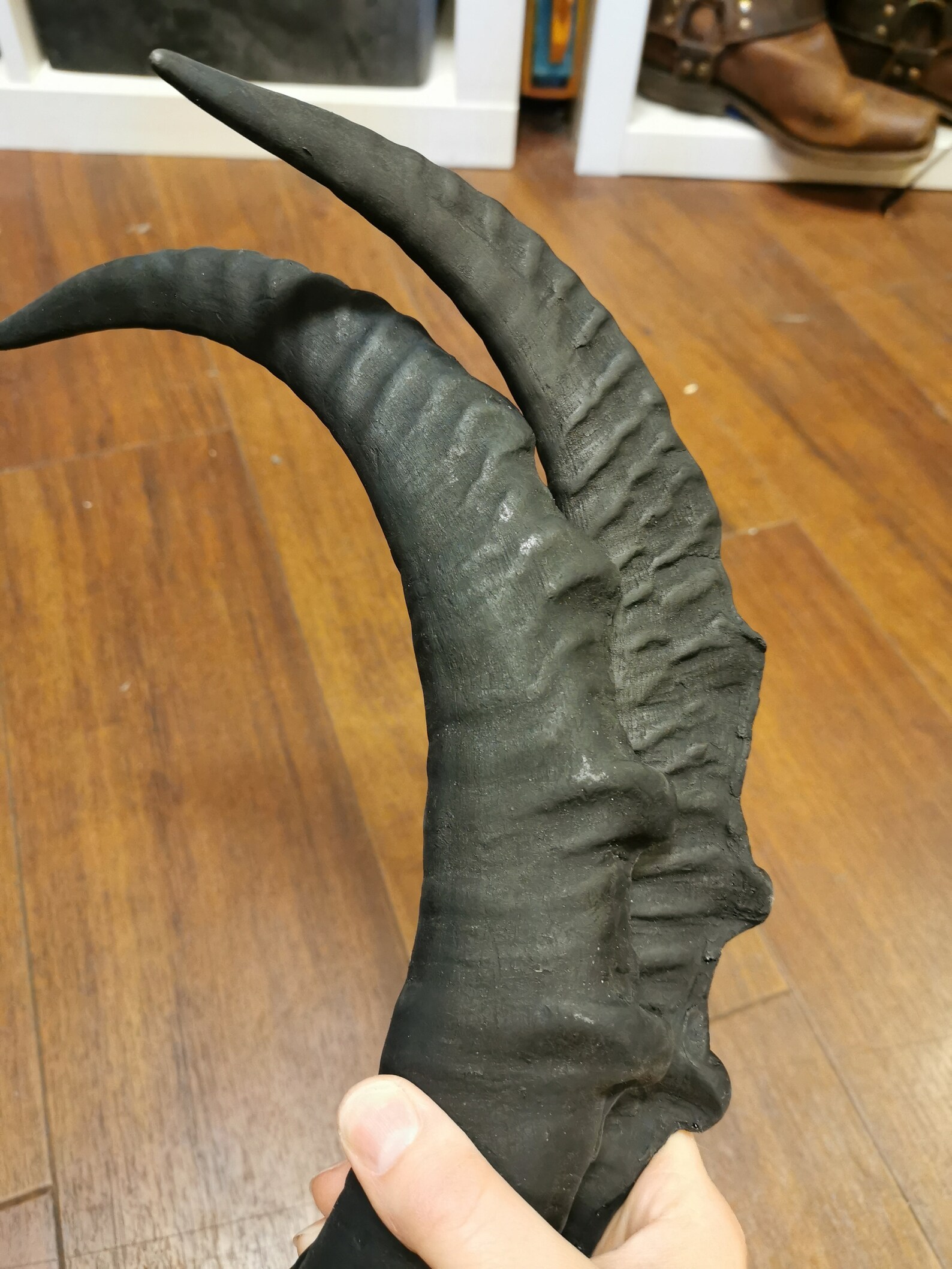 Replica Large Ibex Horns - Etsy