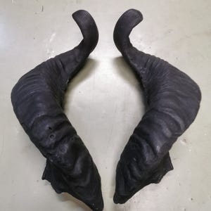 BlackCraneCreations - Etsy