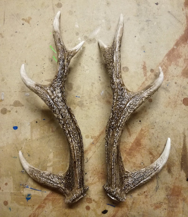 Sika Deer Antler Replicas - Etsy