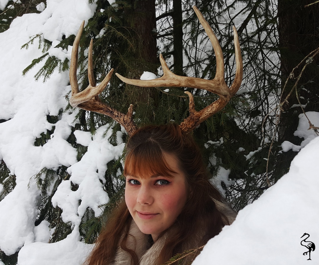 Whitetail Antler Replicas - Etsy