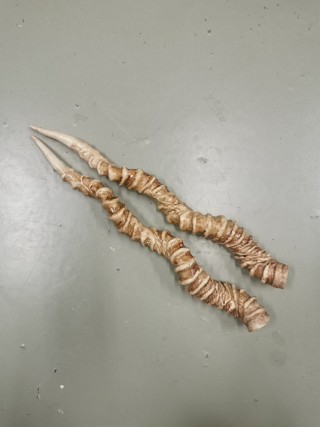 READY TO SHIP Blackbuck Replica Horns - Etsy