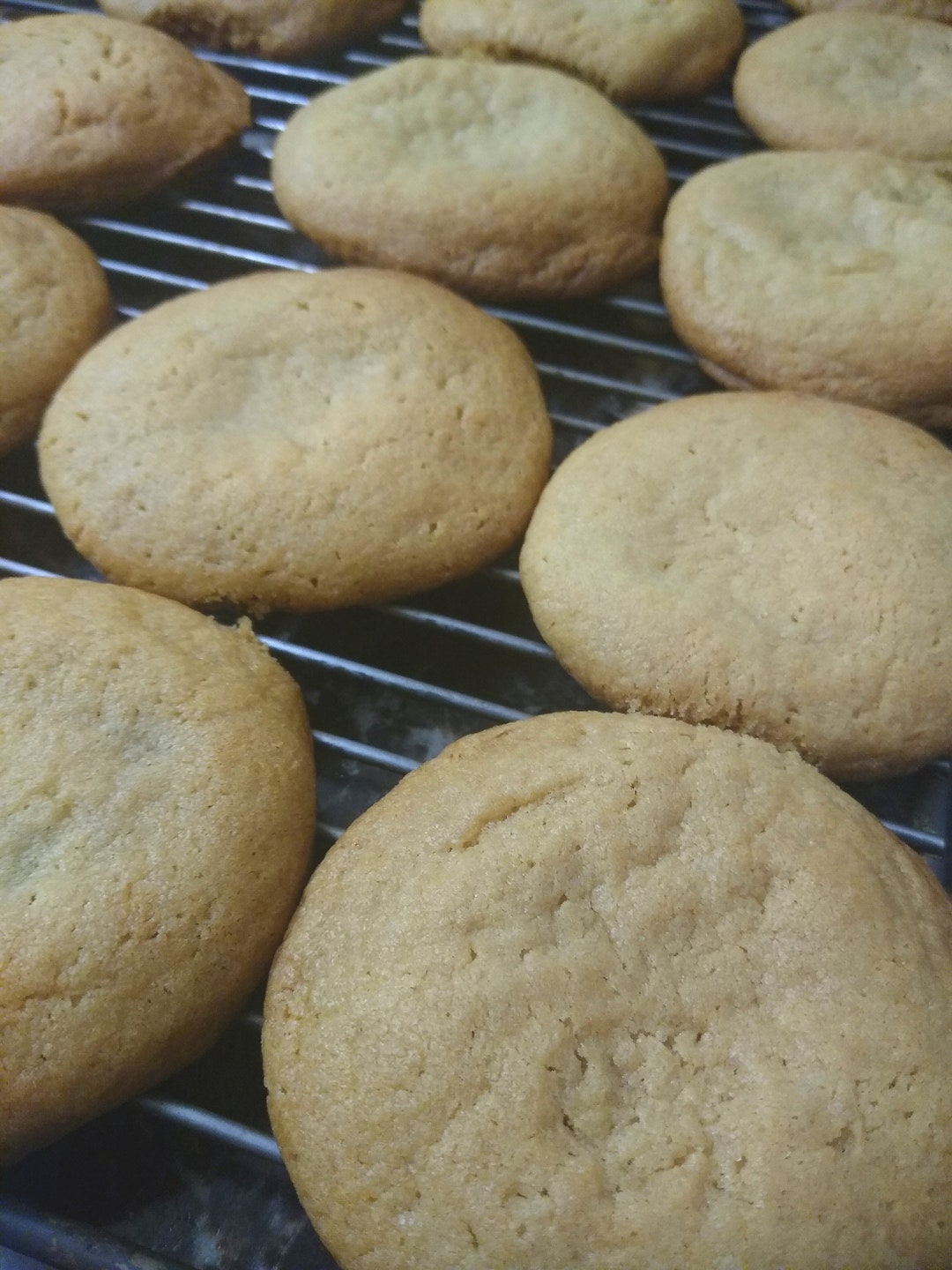 Scared Chipless Fudge Filled Cookies Terrific Treats FL full Dozen, 12 ...