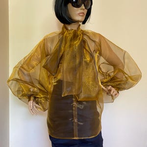Vintage Inspired Sheer Transparent Black Organza Blouse With Statement ...