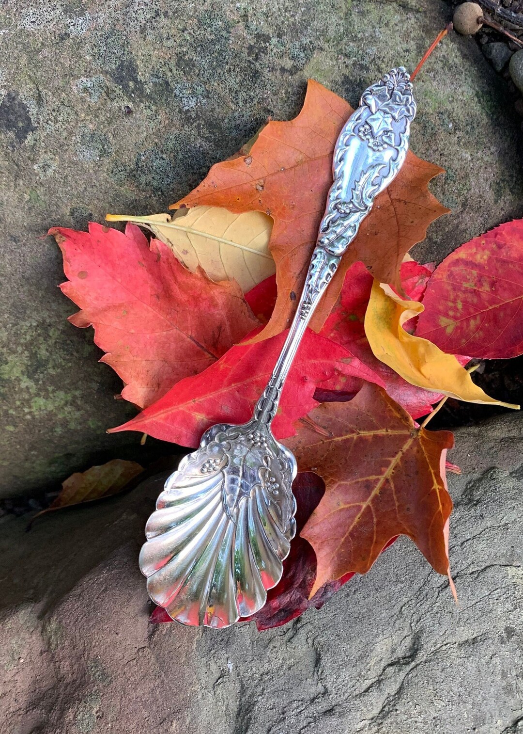 American Silver Co Holly "ilex" Pattern C. 1905 Sugar / Bonbon /nut ...