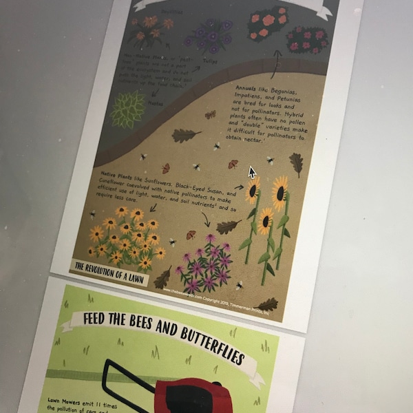 Pollinator Education - Etsy
