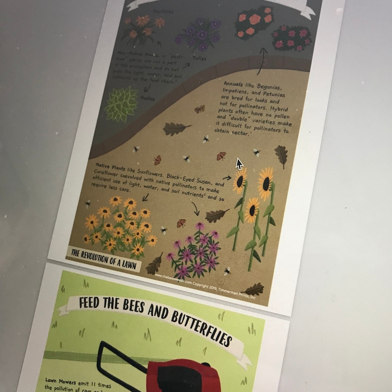 Pollinator Education - Etsy