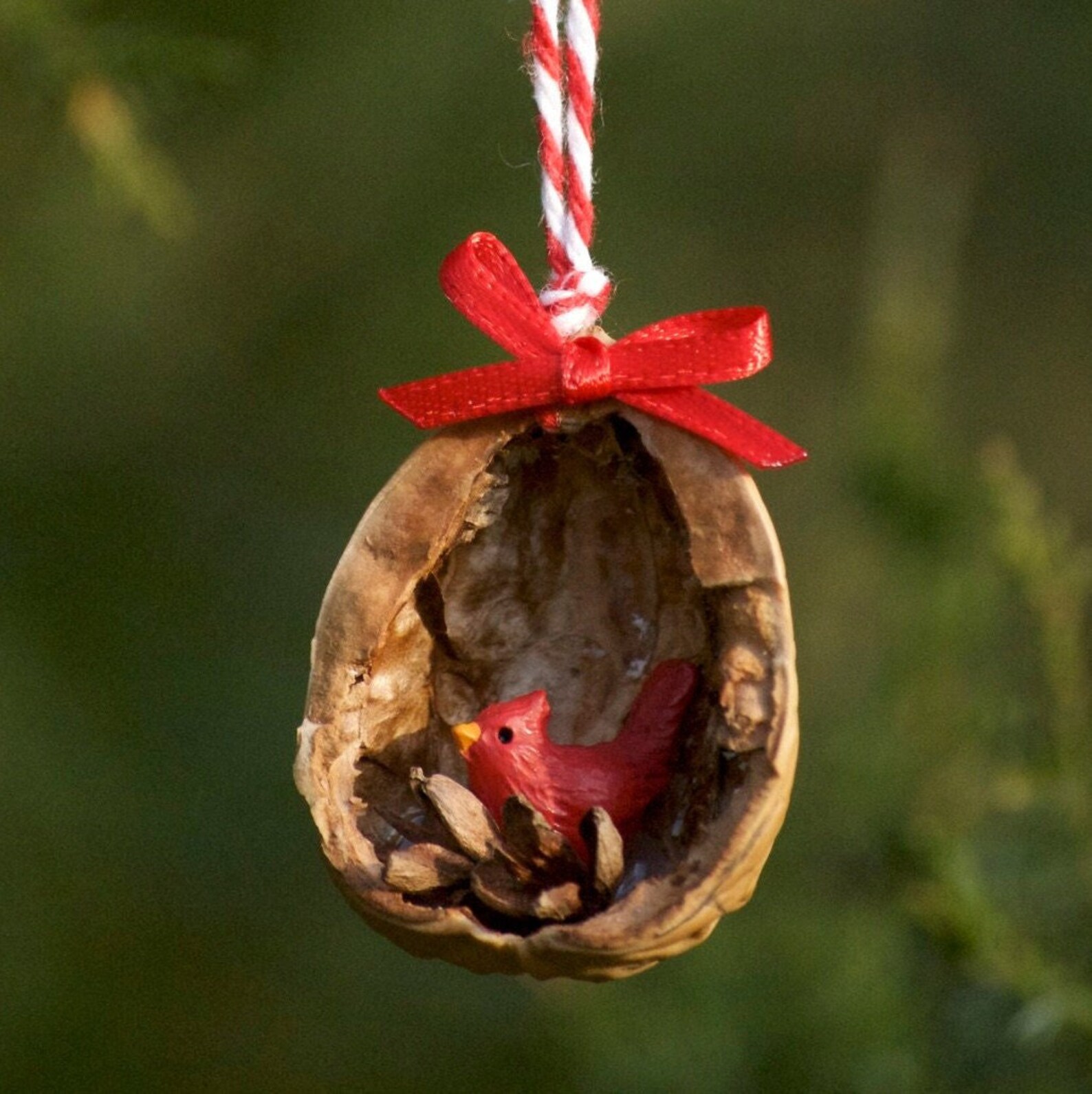 Woodland Walnut Ornament Set Owl Fox Fawn deer Mushrooms - Etsy