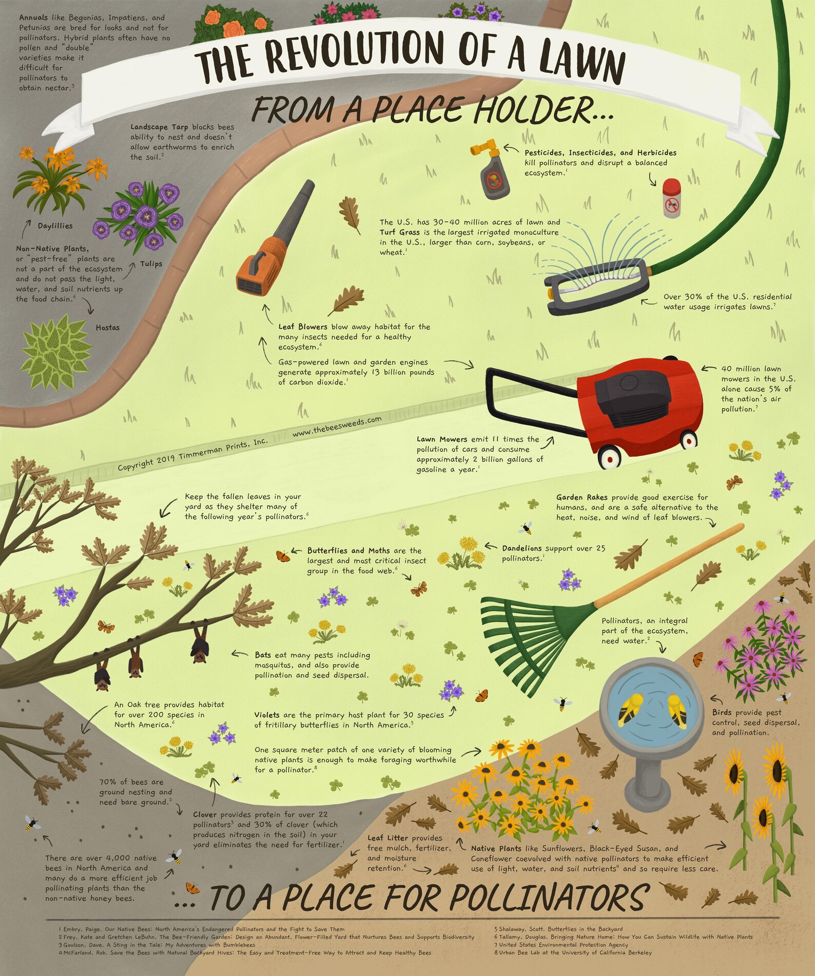 Pollinator Lawn Poster Infographic for Hoas, Educational, Garden ...