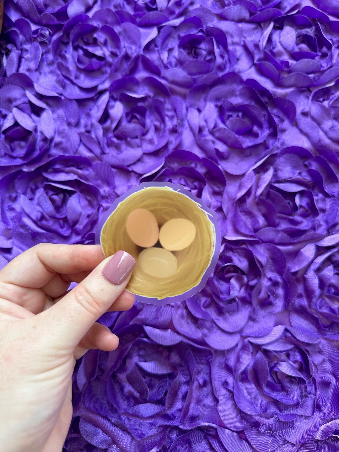 Clear Chicken Egg Nest Sticker, Laptop Sticker, Water Bottle Sticker ...