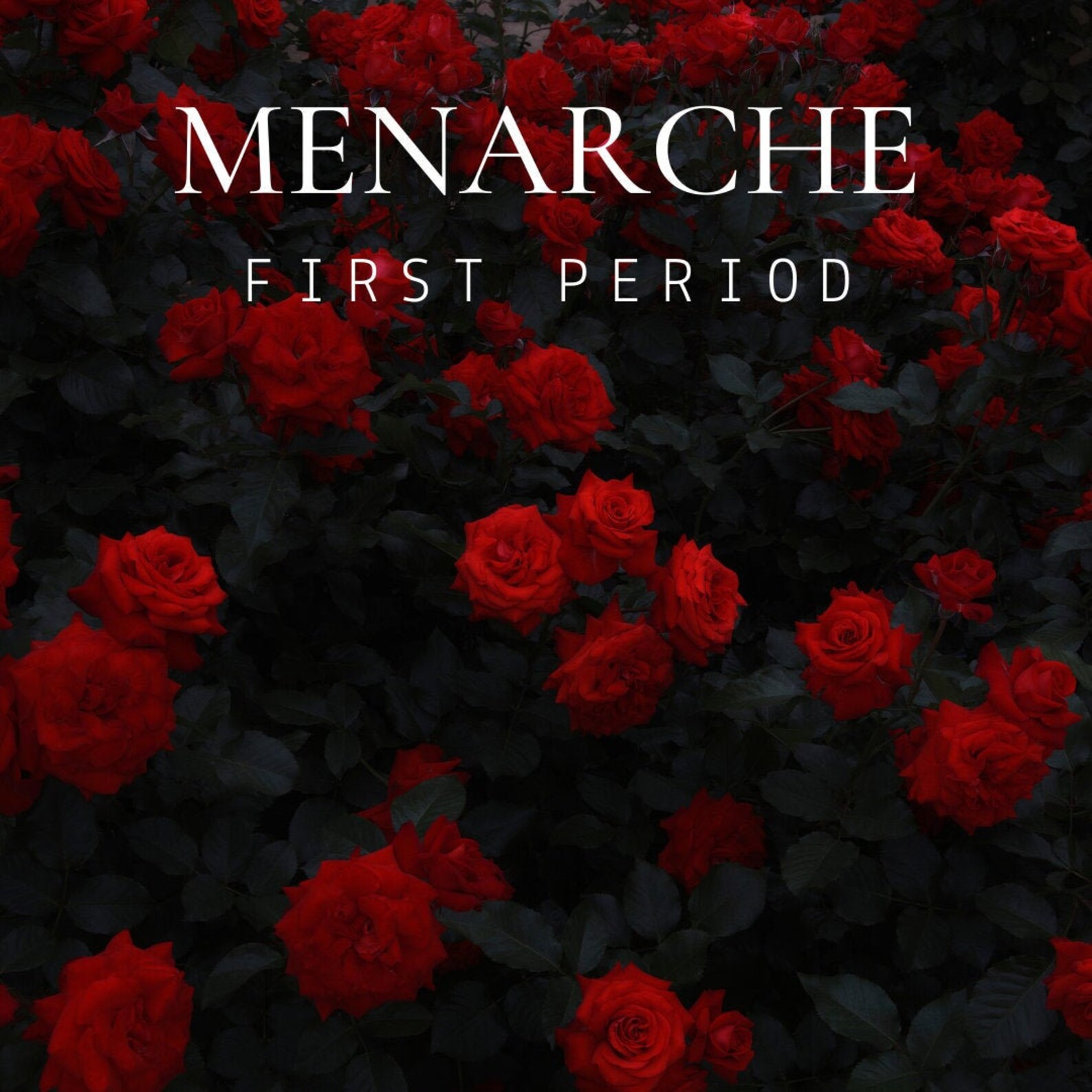 Menarche first Period Ritual - Etsy