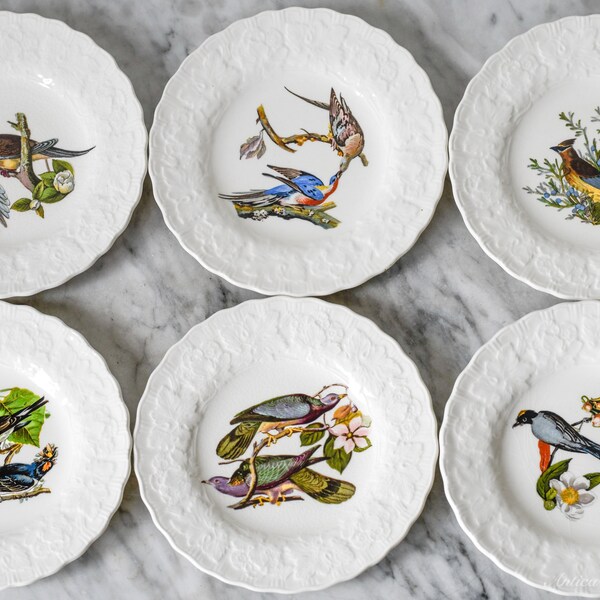 Bird Plates - Etsy
