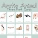 Wetland Animals 3 Part Cards, Montessori, Homeschool, Reggio Emilia ...